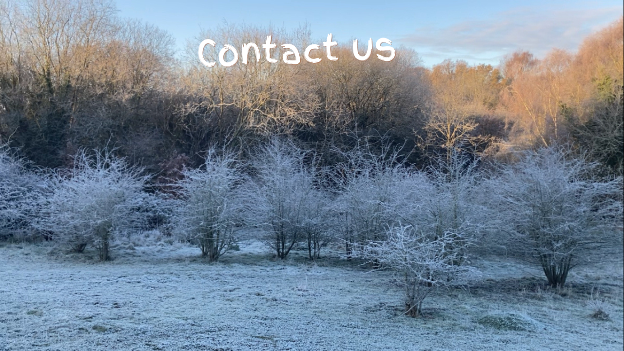 The Church at Hiraeth – church with a difference